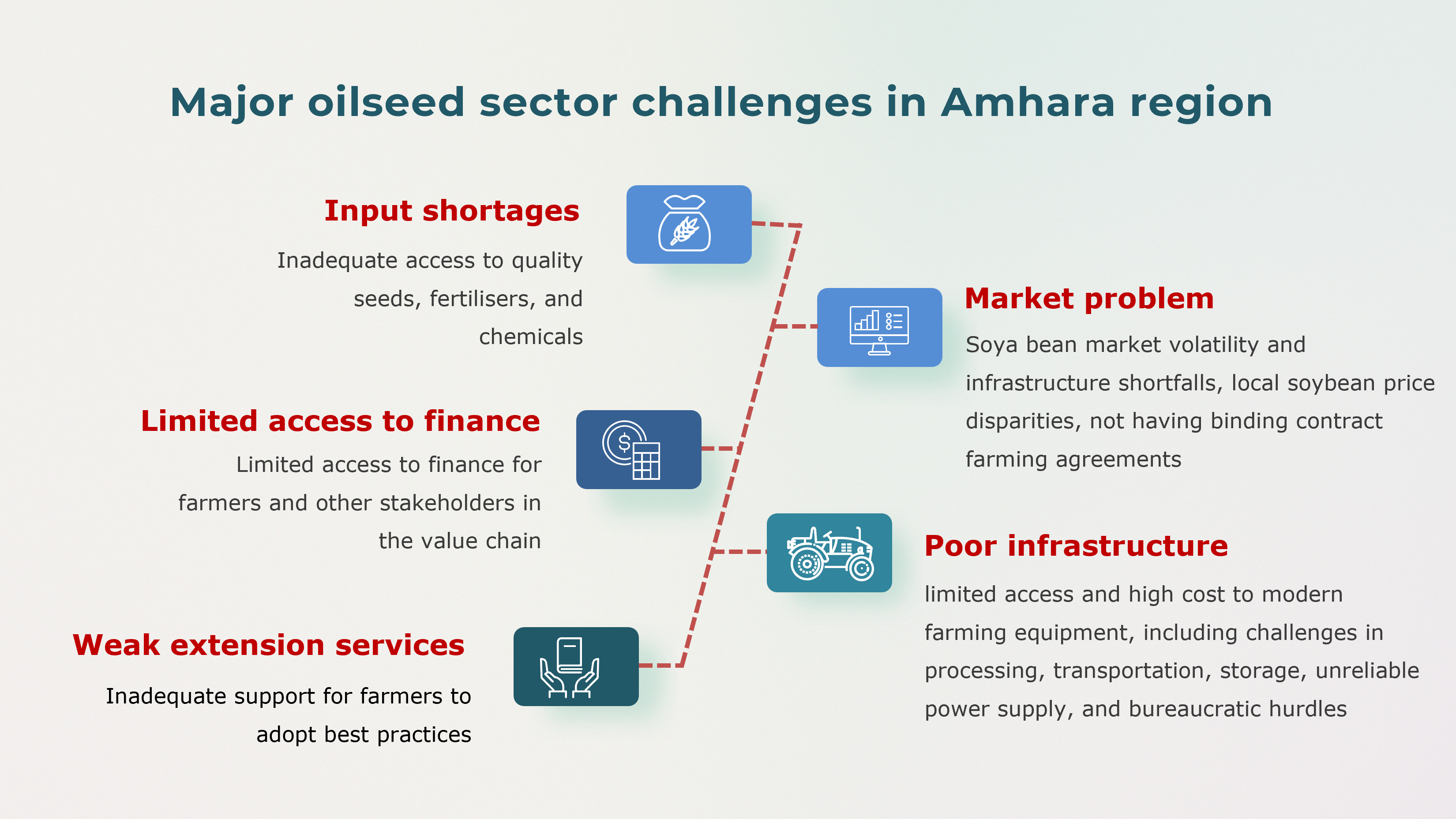 Strengthening the oilseeds sector: A collaborative push forward – raise ...